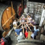 Douro: Premium Wine Tasting and Tapas Tour - The Practicalities