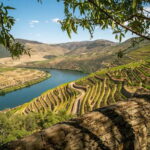 Douro Private Tour  Customizable Experience - Authentic Villages and Cultural Insights