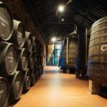 Douro River Cruise with Port Tasting and Lunch - Frequently Asked Questions