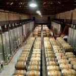 Douro - tour to explore the cradle of Barca Velha wine - Who Will Love This Tour?