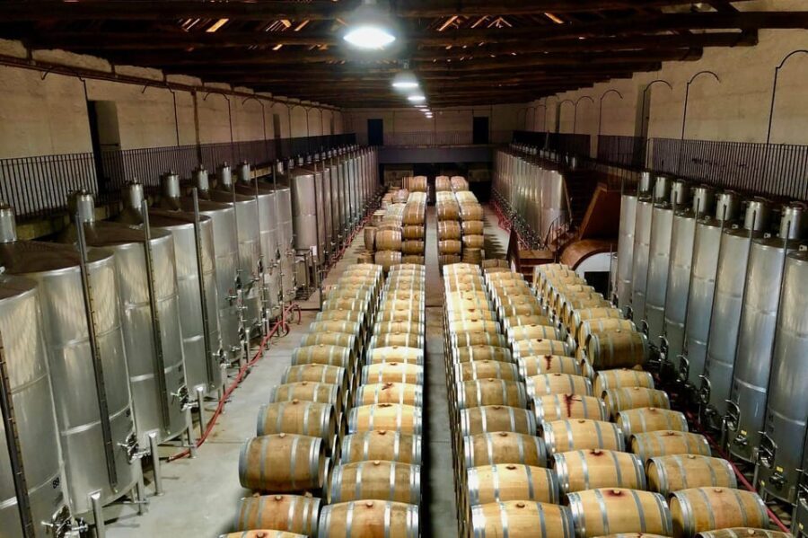 Douro - tour to explore the cradle of Barca Velha wine - Who Will Love This Tour?
