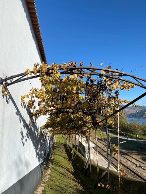 Douro - tour with train, walking, picnic and wines - How It Works: Practical Details and Tips