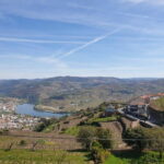 Douro: Traditional Harvest Lunch at Quinta de Sobre a Fonte - The Itinerary: What to Expect