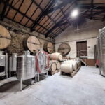 Douro Valley: 2 Wineries, Lunch & Boat - What to Expect on This Full-Day Douro Adventure