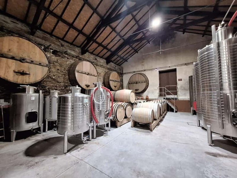 Douro Valley: 2 Wineries, Lunch & Boat - What to Expect on This Full-Day Douro Adventure