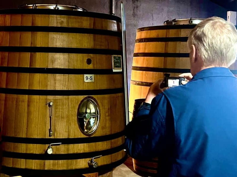 Douro Valley: A Day in Douro Valley Tasting The Best Wines - The Scenic Highlights