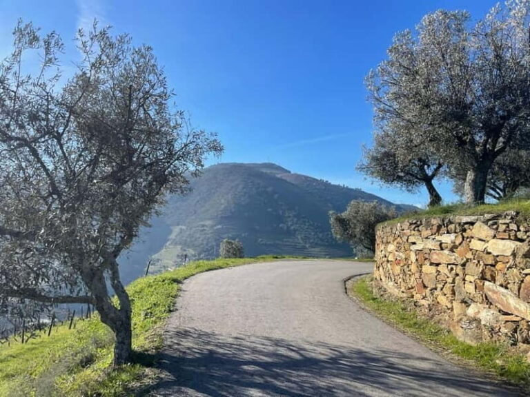Douro Valley: Kayak and Vineyard Tour with Lunch and Wine - What Makes This Tour Stand Out?