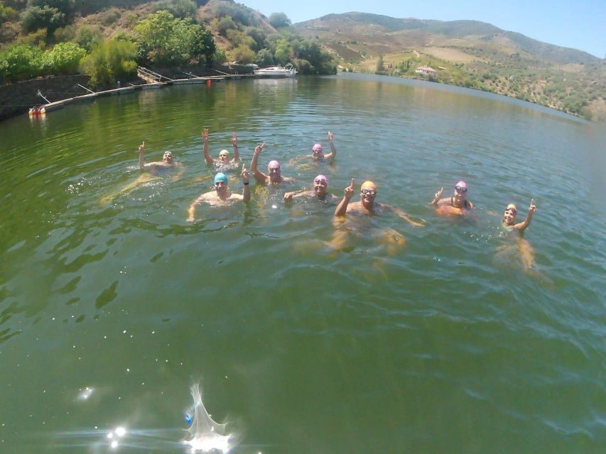 Douro Valley: Open Water Swimming Tour - The Highlights and Why They Matter