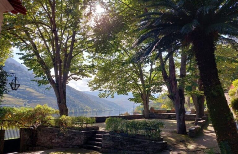 Douro Valley: (Pinhão) Quinta da Foz - Tour&Tasting 5 WINES - What’s Included & What to Prepare