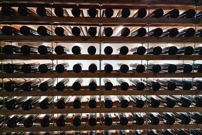 Douro Valley private tour from Lisbon - Peso da Regua: The Port Wine Capital