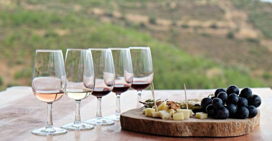 Douro Valley Private Tour with 2 wine tastings - Who Will Love This Tour?
