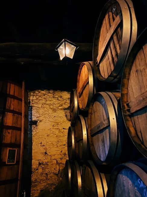 Douro Valley: PRIVATE TOURS with 1 Wine Tasting - A Deep Dive into the Tour Experience
