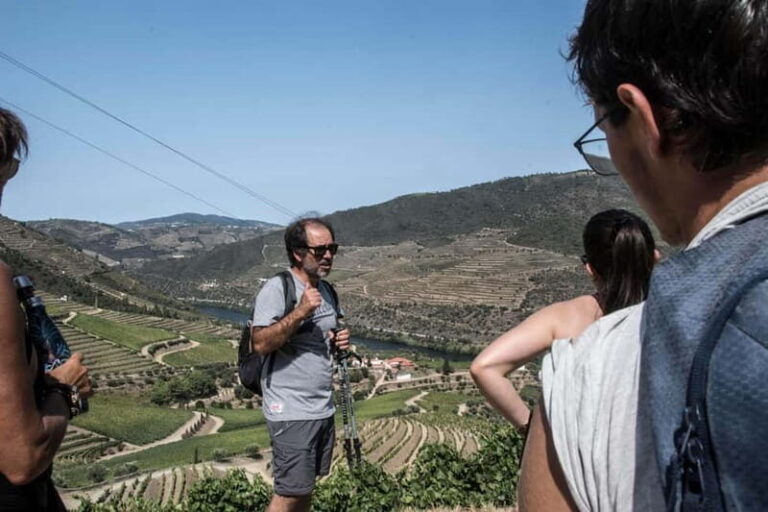 Douro Valley: Provesende and São Cristóvão Guided Hike - The Experience & What Travelers Say
