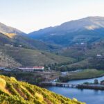 Douro Valley: Quinta do Tedo Wine Experience with Picnic - The Experience’s Highlights in Detail