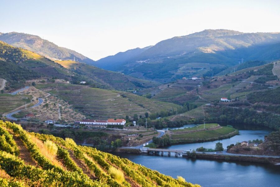 Douro Valley: Quinta do Tedo Wine Experience with Picnic - The Experience’s Highlights in Detail