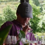 Douro Valley: Quinta do Tedo Winery Tour and Tasting - A Closer Look at the Tour Experience
