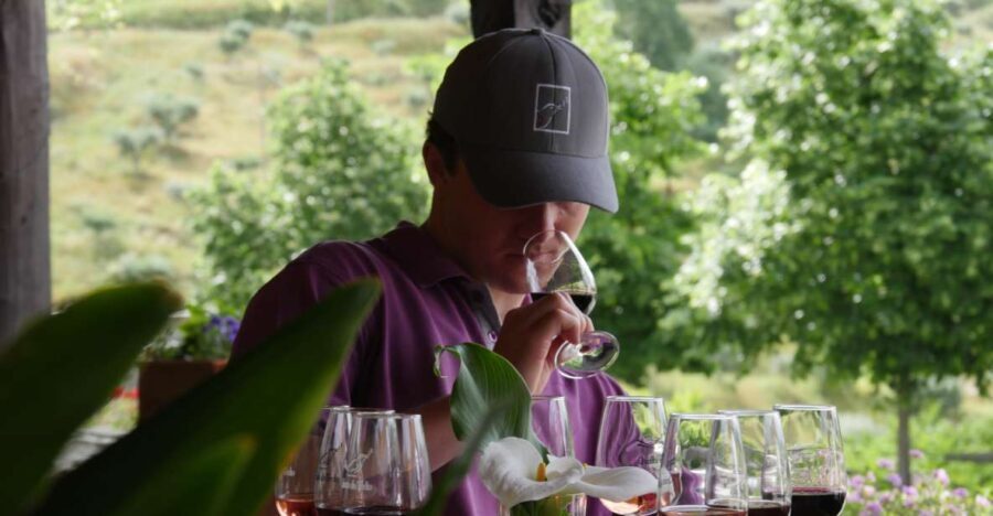 Douro Valley: Quinta do Tedo Winery Tour and Tasting - A Closer Look at the Tour Experience