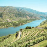 Douro Valley: Real Small-Group, Wine Tasting, Lunch & Boat - What Makes This Tour Special?