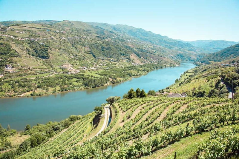 Douro Valley: Real Small-Group, Wine Tasting, Lunch & Boat - What Makes This Tour Special?