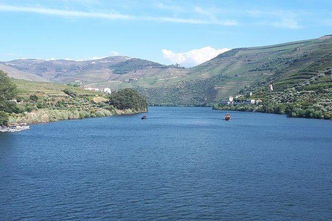 Douro Valley Tour (wine & Food) - Authentic Flavors and Scenic Moments