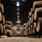 Douro Valley Tour with Lunch, Visit to a Vineyard, Boat Trip - Detailed Breakdown of the Itinerary