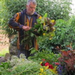 Douro Valley: Traditional Cooking Class, Farm Tour & Lunch - The Breakdown of the Experience