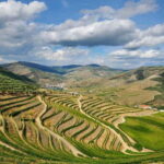 Douro Valley: Wine & Chocolate Tour in the Wine Region - What Makes This Tour Stand Out