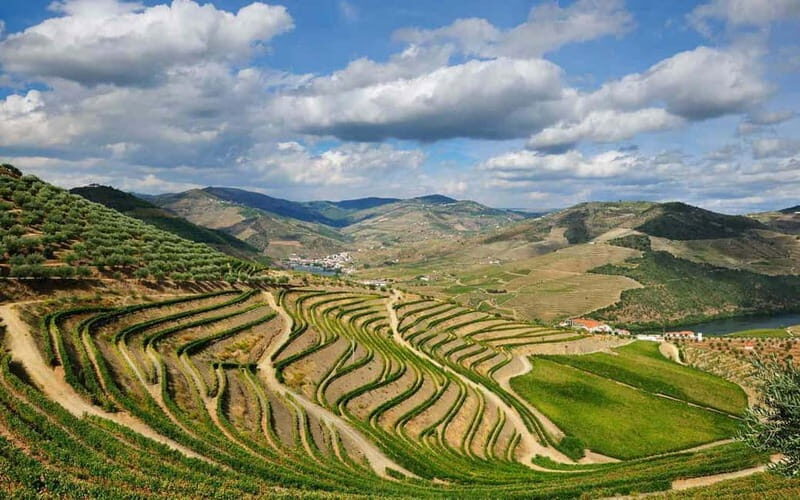 Douro Valley: Wine & Chocolate Tour in the Wine Region - What Makes This Tour Stand Out
