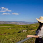 Douro Valley: Winery Visit & Legacy Port Wine Tasting - Who is This Tour Best For?