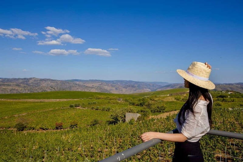 Douro Valley: Winery Visit & Legacy Port Wine Tasting - Who is This Tour Best For?