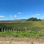 Douro - walking with full fancy lunch and premium wines - The Experience’s Practical Details