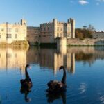 Dover Cruise Ship to Leeds Castle via Canterbury, Villages & back - Transportation and Group Dynamics