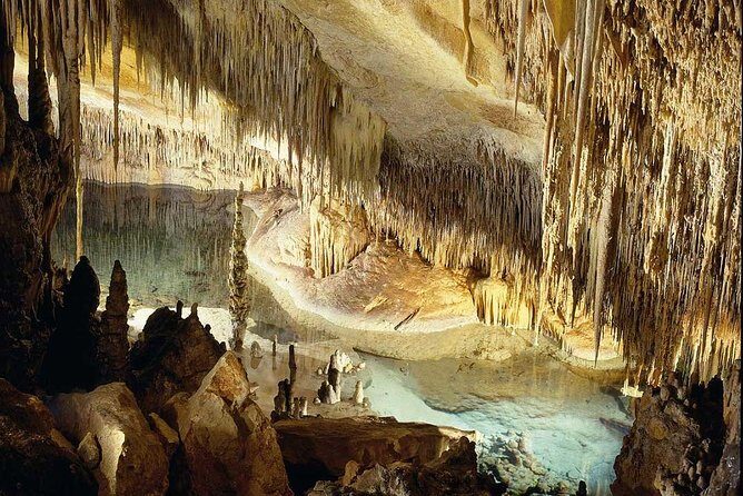 Drach Caves with Port Cristo and Pearl Shop Mallorca Full Day Tour - Who Will Love This Tour?