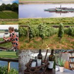 Dresden Bike Tour with Wine Tasting - Who Will Love This Tour?