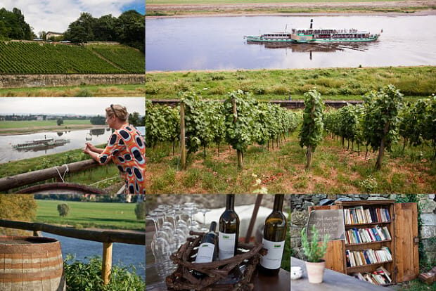 Dresden Bike Tour with Wine Tasting - Who Will Love This Tour?
