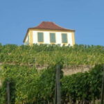 Dresden: Boat Cruise with Wine Tasting and Snacks - Who Should Consider This Tour?