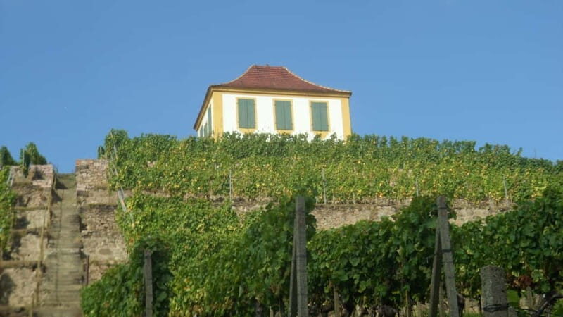 Dresden: Boat Cruise with Wine Tasting and Snacks - Who Should Consider This Tour?