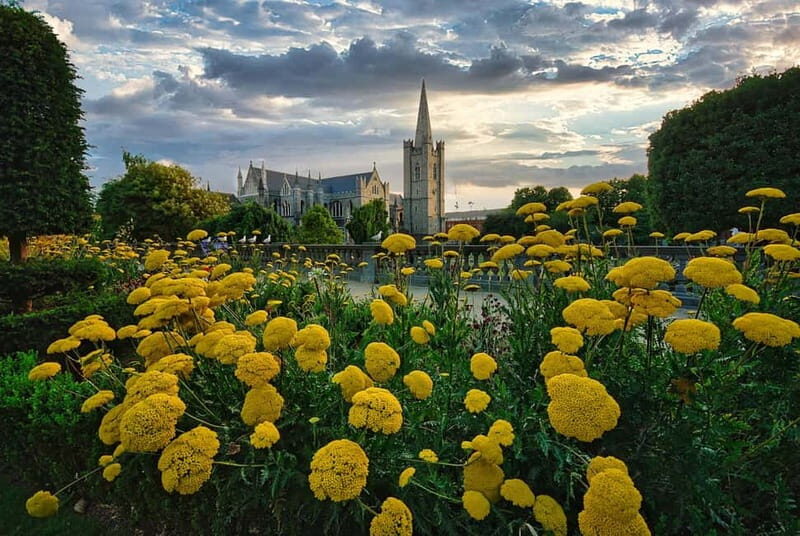 Dublin Artistry Trail: From Classic to Contemporary - What You Can Expect Throughout the Tour