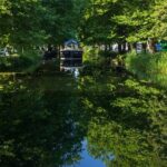 Dublin Georgian Quarter Walking Tour in Spanish - What to Expect on the Tour