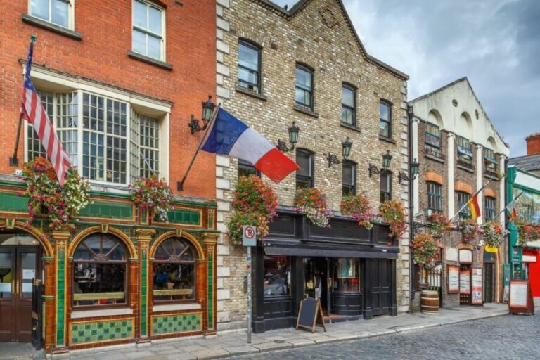 Dublin Great Famine Tour with Fast-Track EPIC Museum Tickets - Who Will Love This Tour?