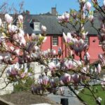 Dublin: Highlights and Hidden Corners Walking Tour - A Detailed Look at the Itinerary and Highlights
