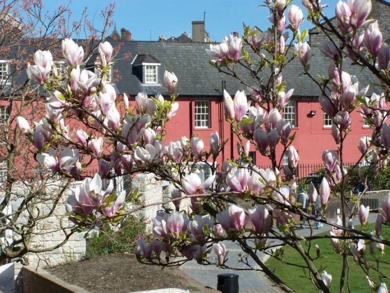 Dublin: Highlights and Hidden Corners Walking Tour - A Detailed Look at the Itinerary and Highlights
