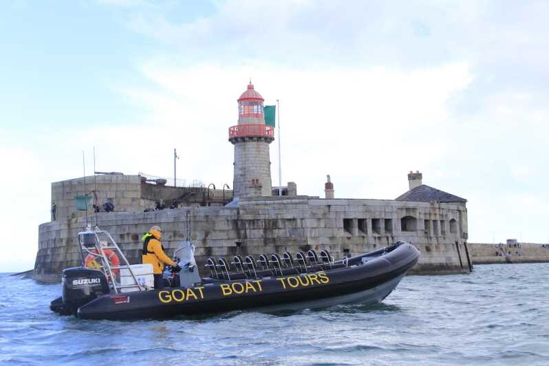 Dublin: History and Wildlife Boat Tour with Live Commentary - The Experience – What You’ll Feel and See