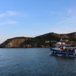 Dublin: Howth Cliffs and Lighthouse Cruise - What Makes This Tour Stand Out?