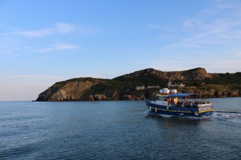 Dublin: Howth Cliffs and Lighthouse Cruise - What Makes This Tour Stand Out?