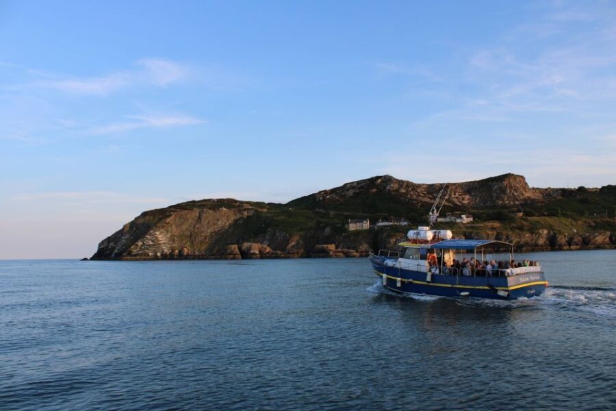 Dublin: Howth Cliffs and Lighthouse Cruise - What Makes This Tour Stand Out?