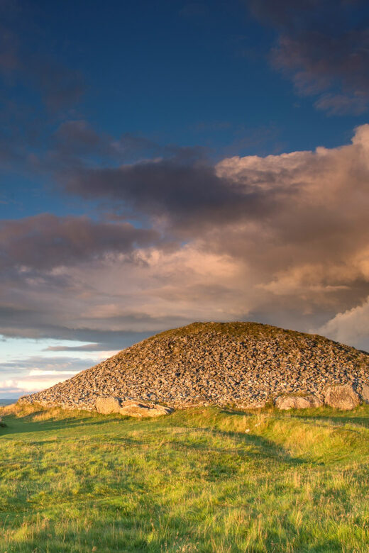 Dublin: Private Boyne Valley and Trim Castle Day Tour - Authentic Experiences, Authentic Feedback