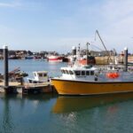 Dublin: Private Day Tour of Howth and Malahide Villages - Dublin City: Scenic Drive and Introductory Tour