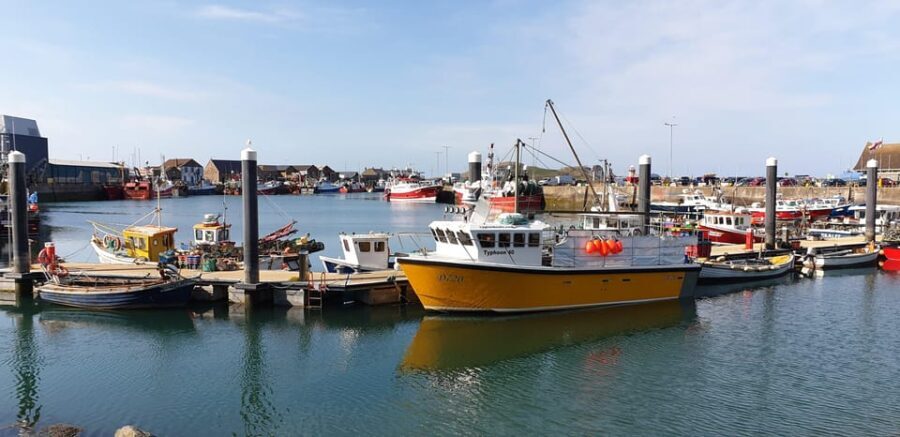 Dublin: Private Day Tour of Howth and Malahide Villages - Dublin City: Scenic Drive and Introductory Tour