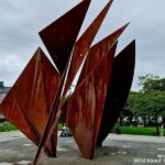 Dublin to Galway City Luxury Private Day Tour - Transportation and Timing
